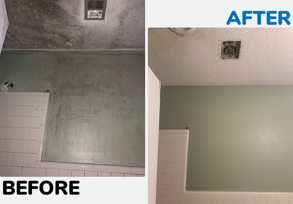 What Does Water Damage Look Like? - BIOSWEEP Mold Remediation & Odor ...